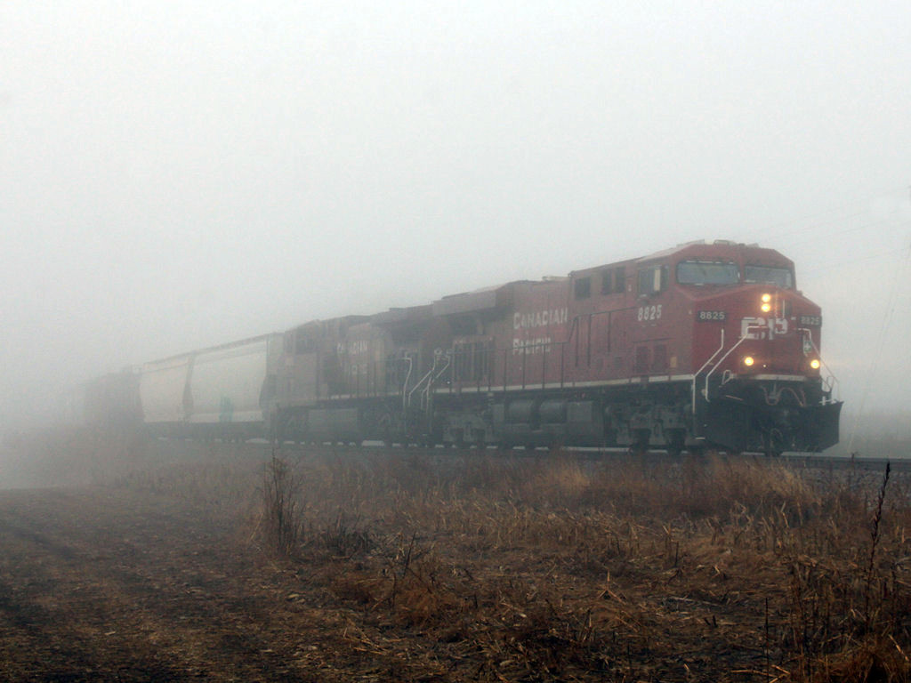 CP 8825